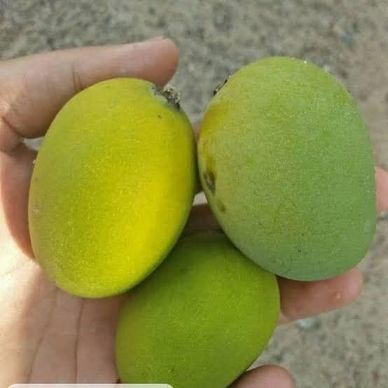 Library@KMUTT ARCHIVE: เทพรส