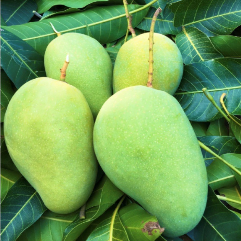 Library@KMUTT ARCHIVE: โชคอนันต์